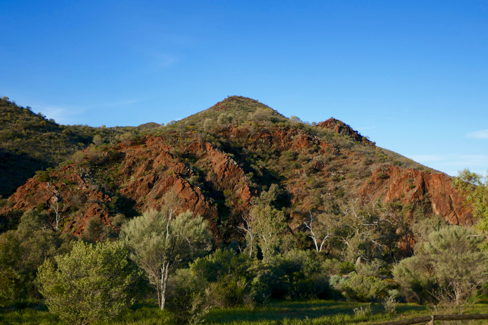 Outback travels | Bronwyn Parry