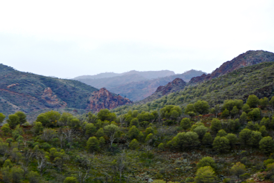 Outback travels | Bronwyn Parry